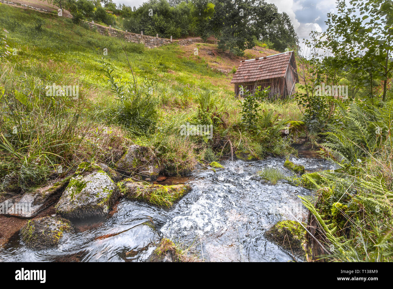 hay hut at small rivulet, goat path of village Forbach, Northern Black ...