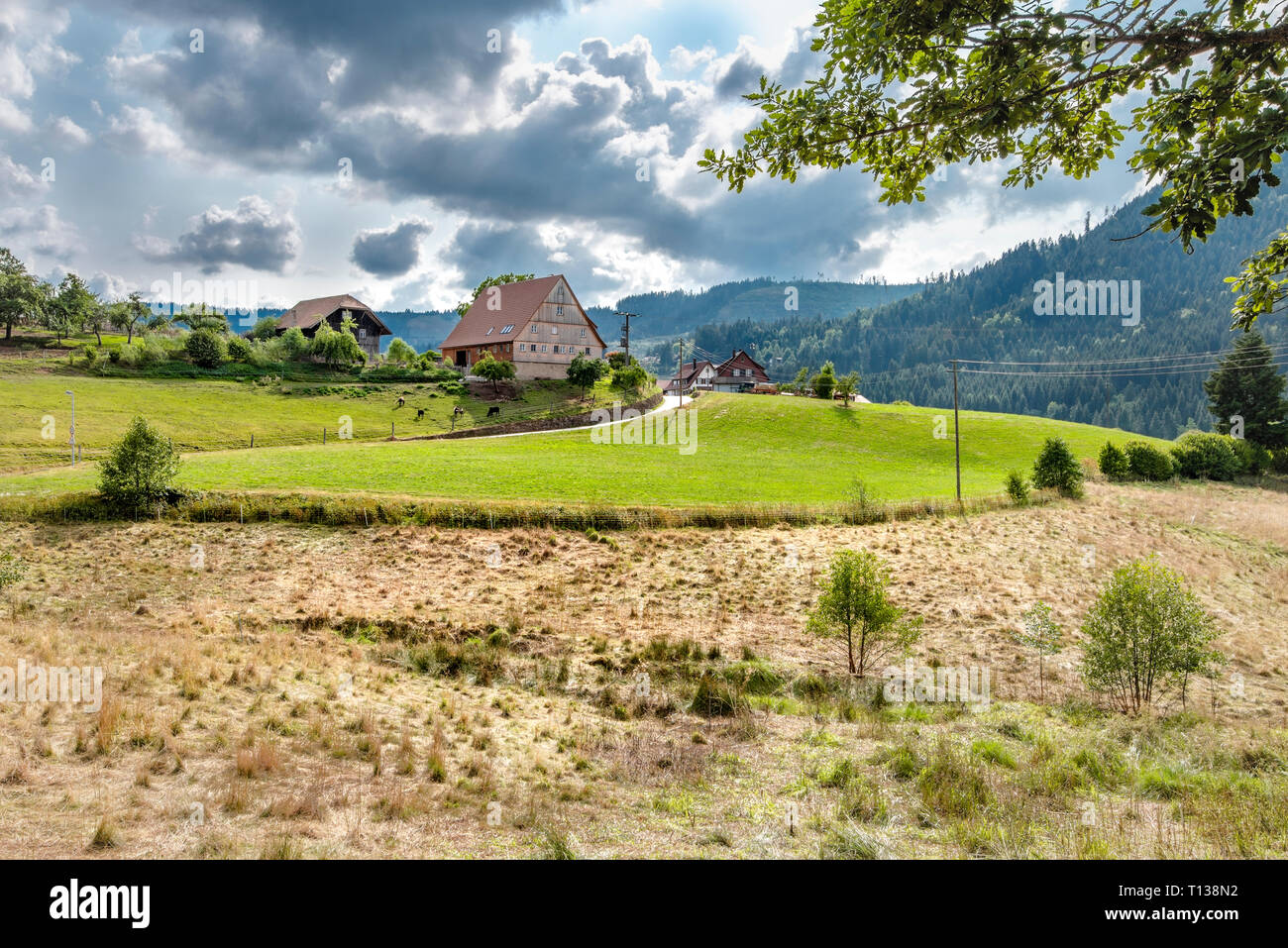 big old farm with surrounding meadows on the territory of Baiersbronn ...