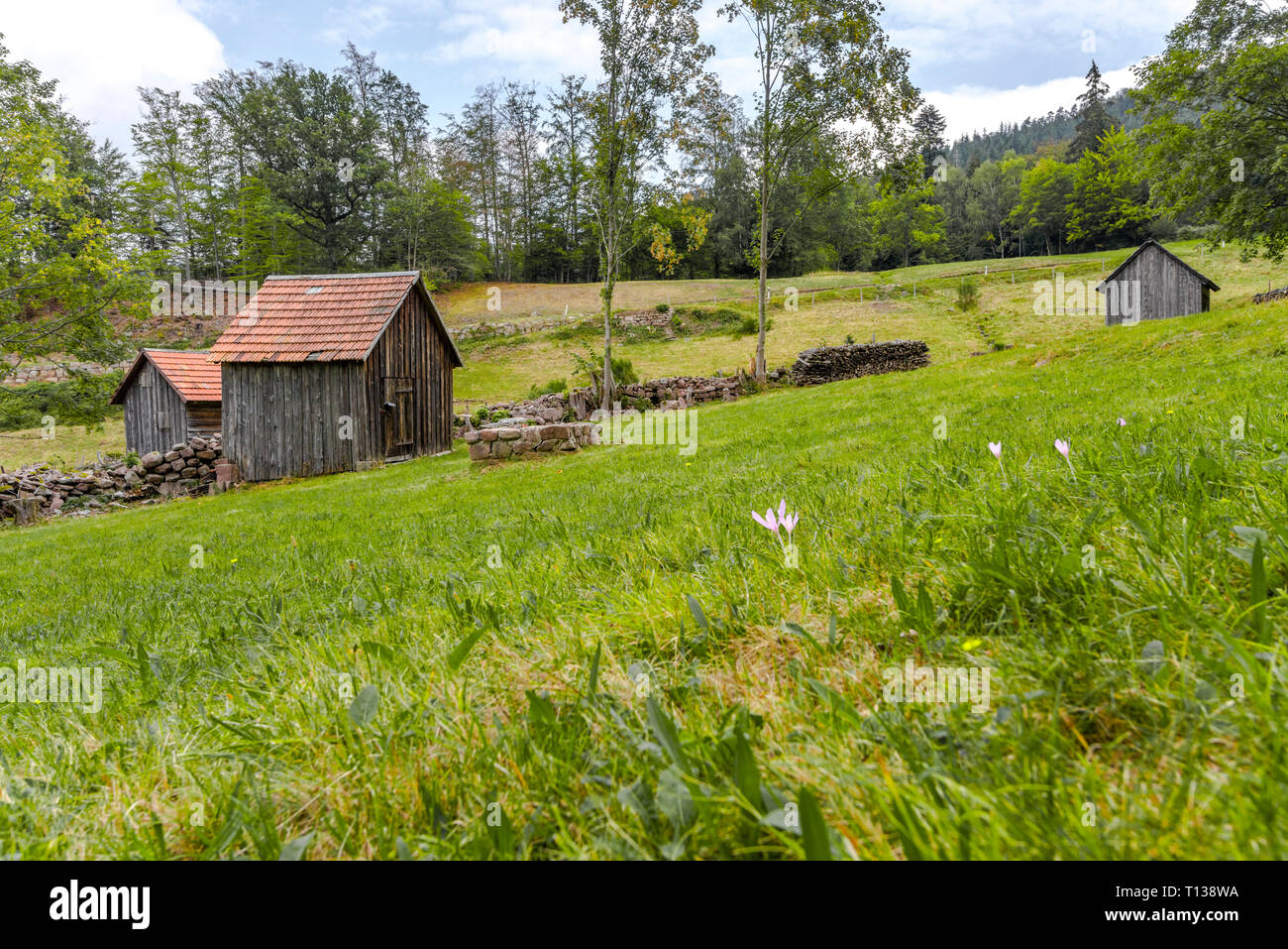 hay huts for cattle farming in the Murg valley, Northern Black Forest ...