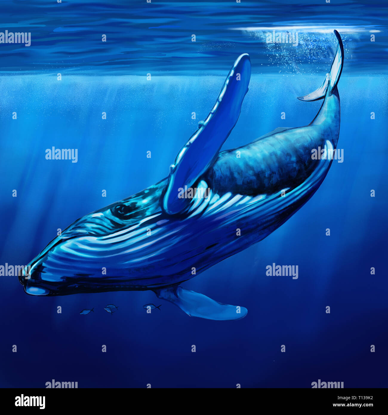 Images Of Blue Whale Fish