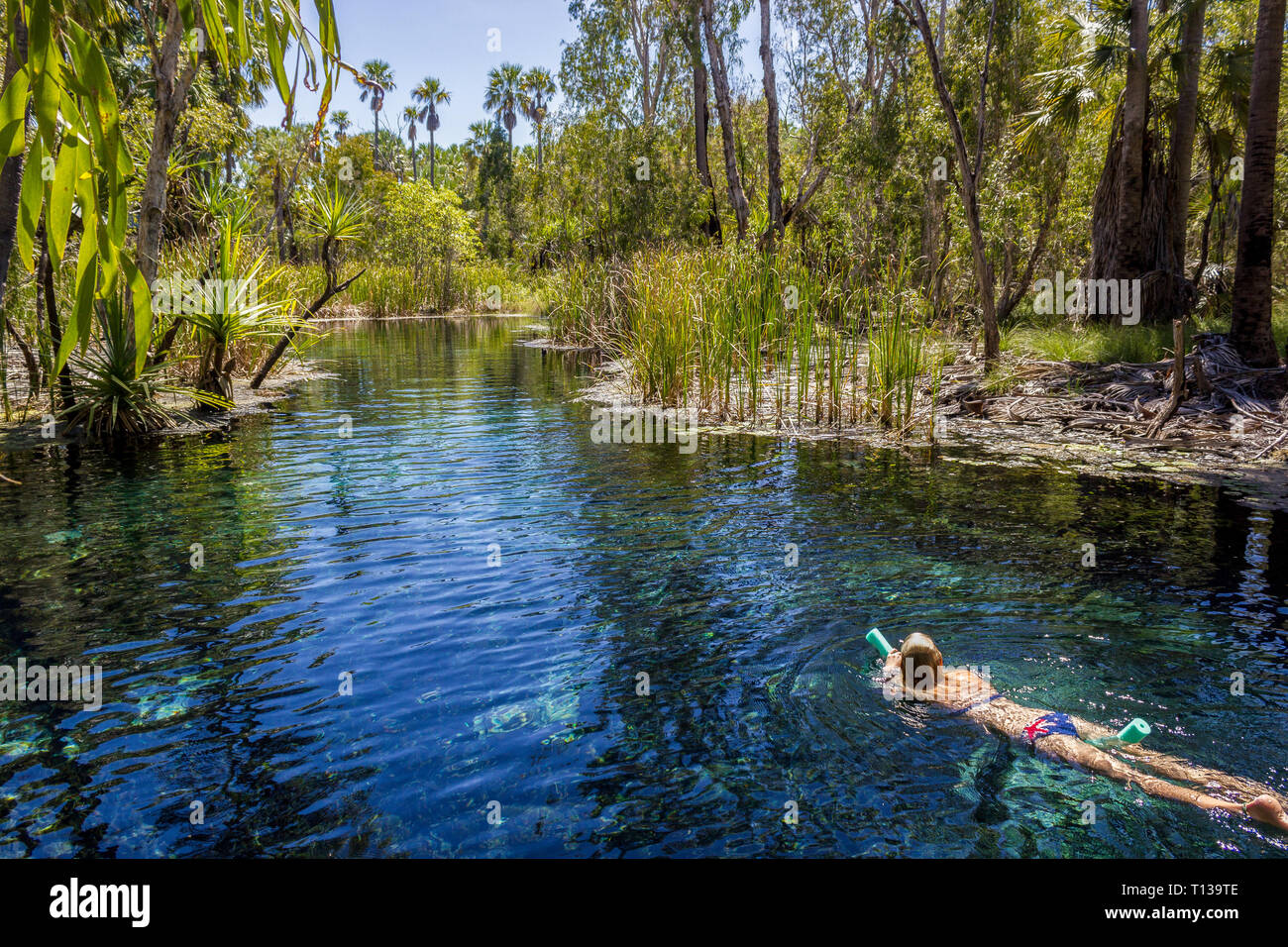 Mataranka hot pool hi-res stock photography and images - Alamy