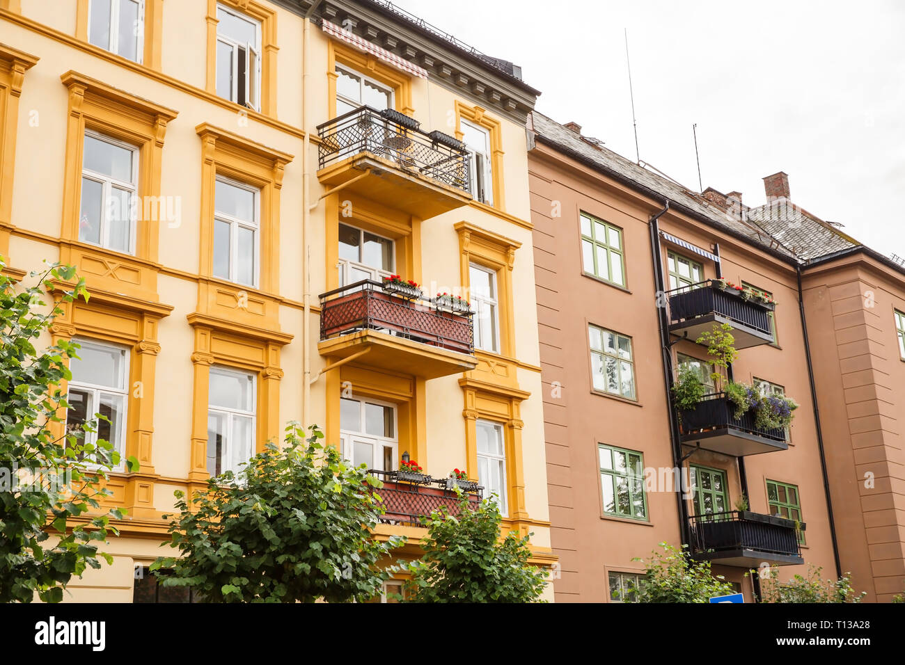 Tree building architecture hi-res stock photography and images - Alamy