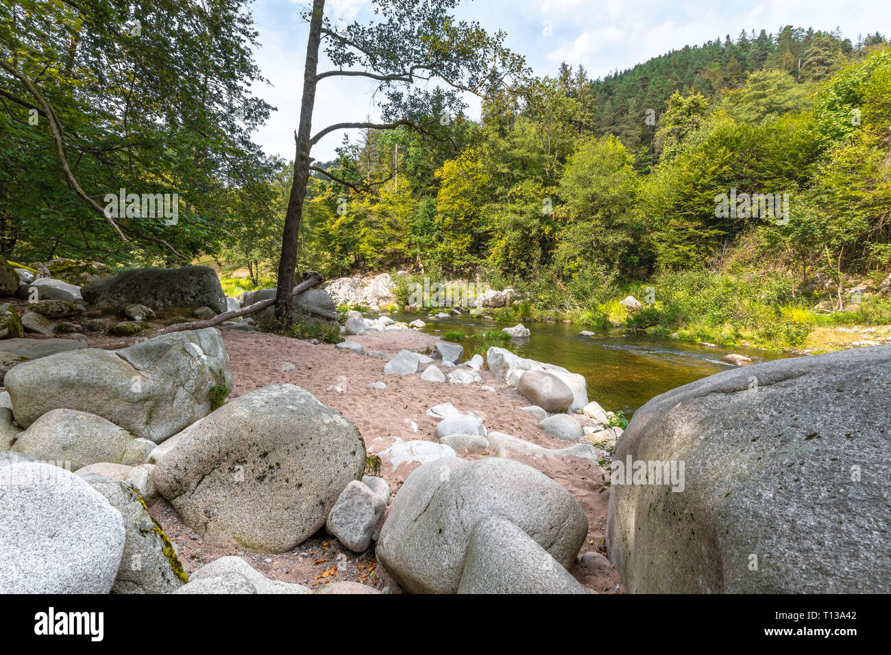 Natural river forest hi-res stock photography and images - Alamy
