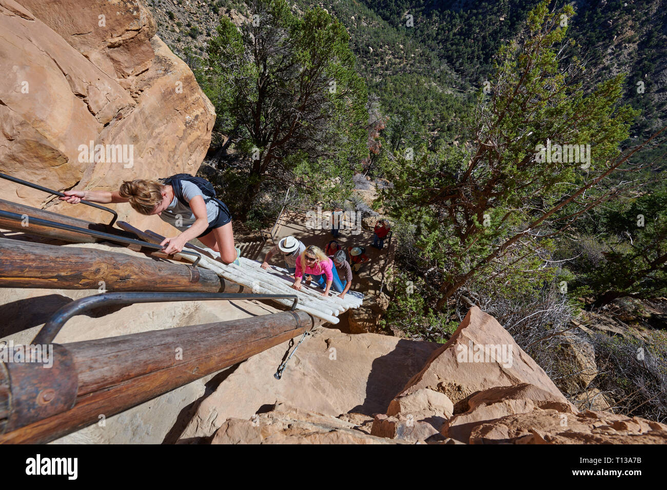 tourists climbing up steep ladder up to Balcony House, Cliff dwellings ...