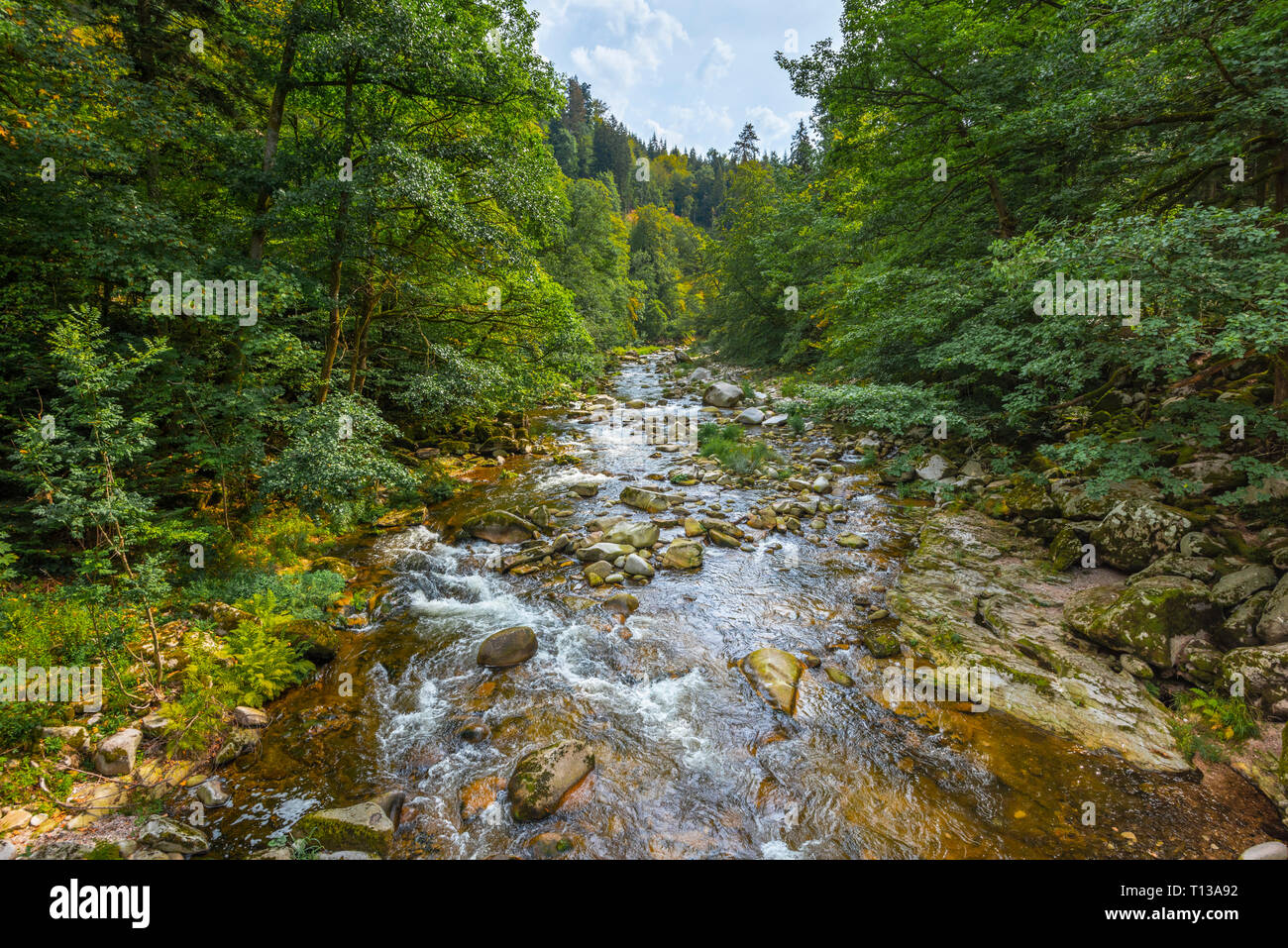 river through wild landscape and woods, Northern Black Forest, Germany ...