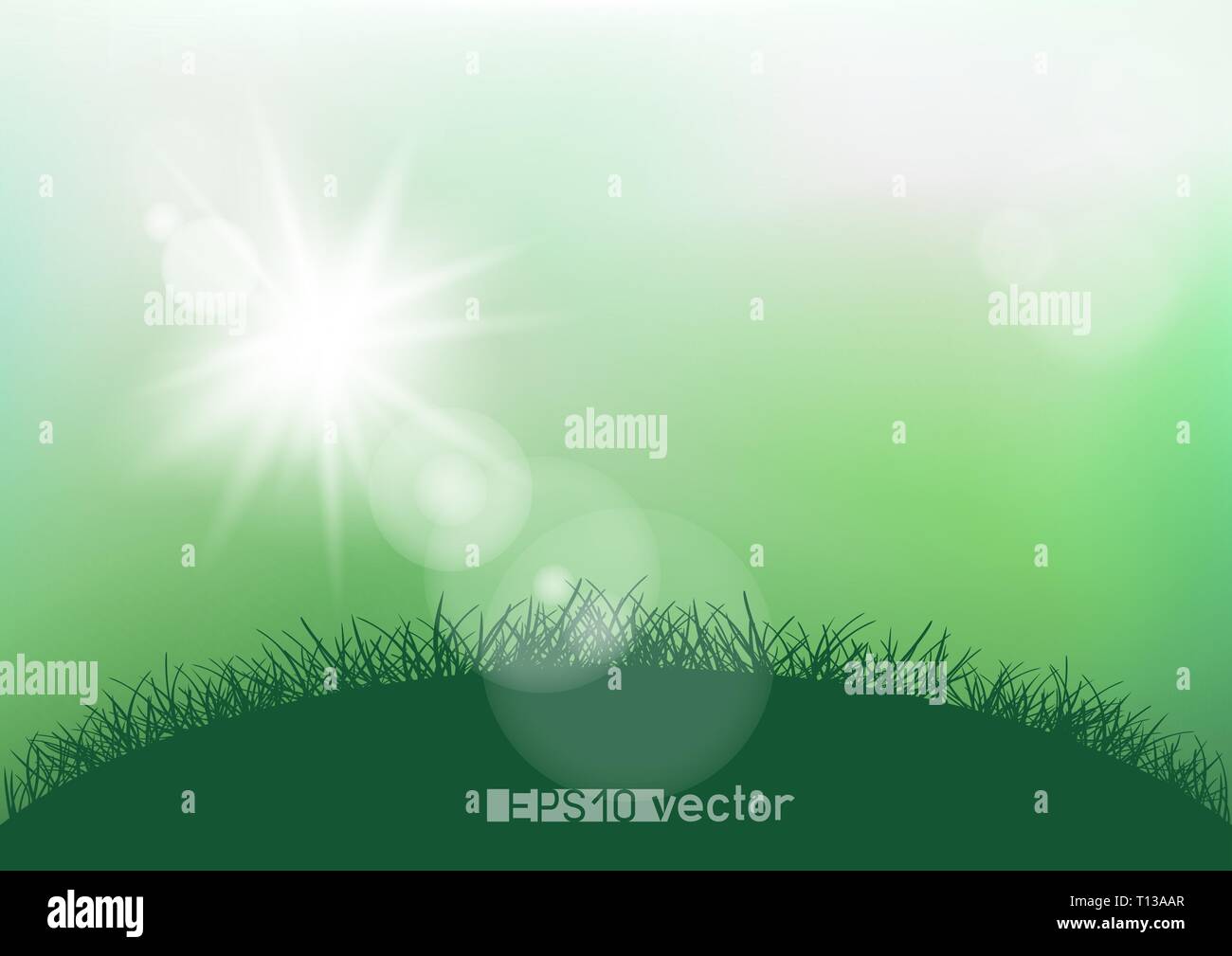 spring sunshine light and grass Stock Vector Image & Art - Alamy