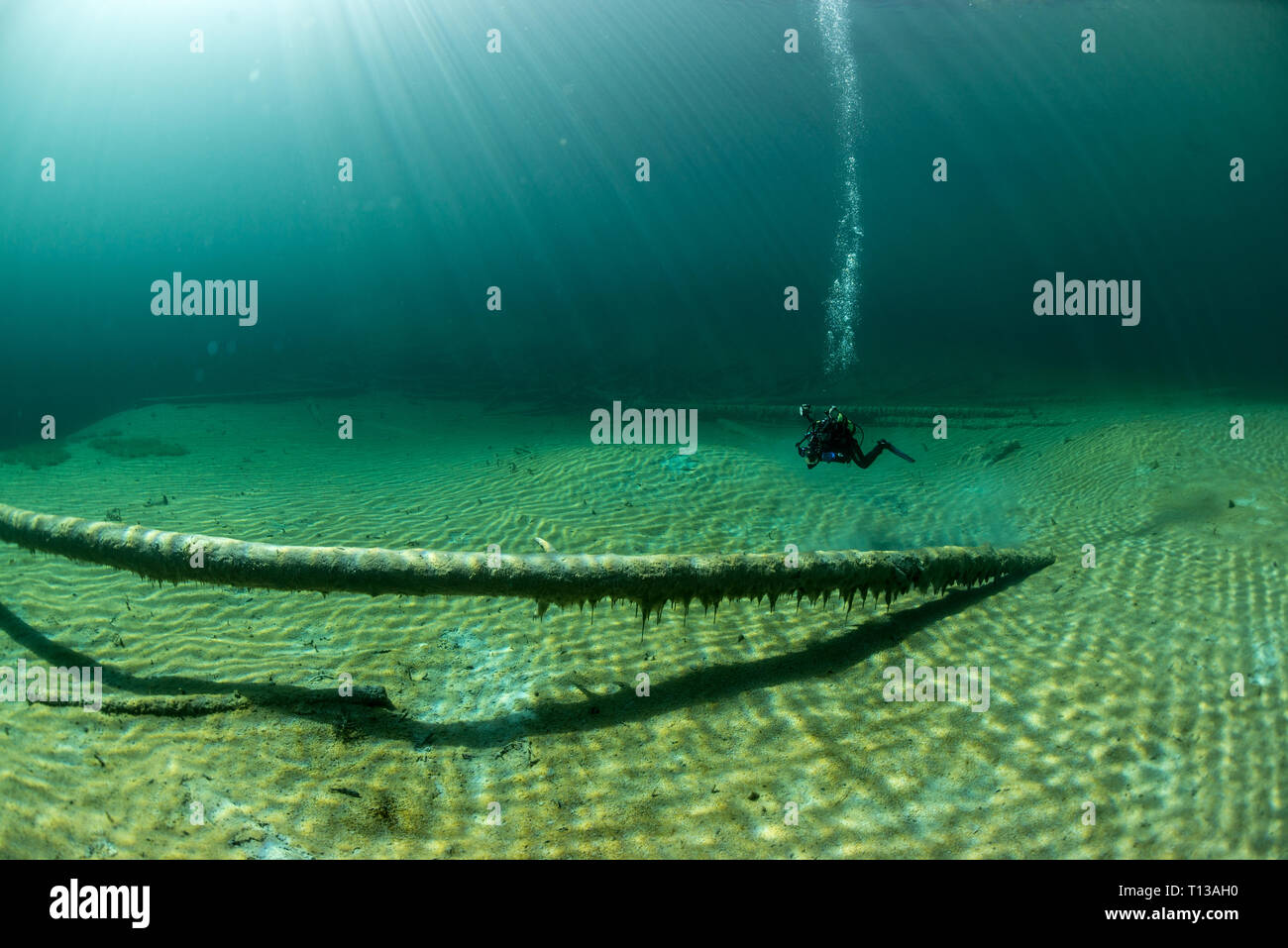 Cold water scuba diving in Austria Stock Photo - Alamy