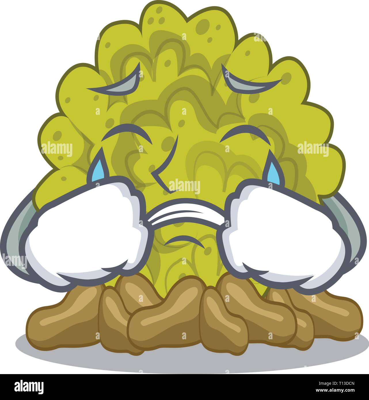 Euphyllia hammer Stock Vector Images - Alamy