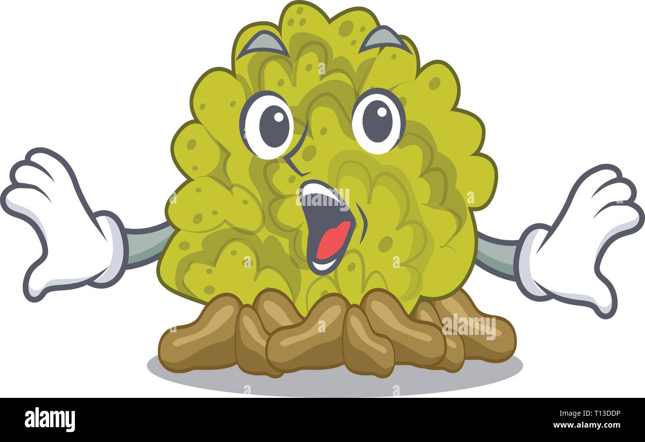 Surprised green coral reef isolated with cartoon Stock Vector Image ...