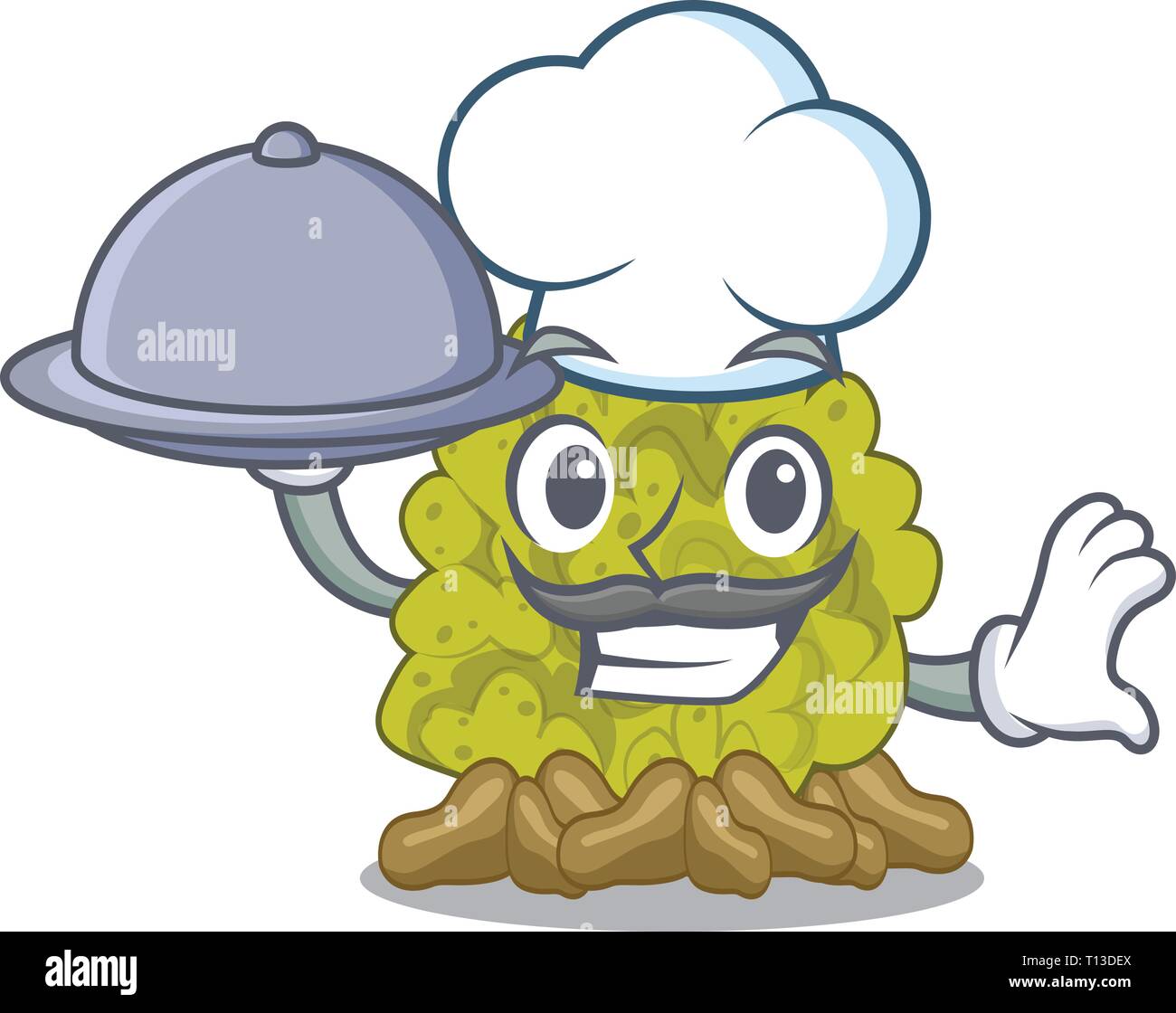 Chef with food green coral reef isolated with cartoon Stock Vector ...