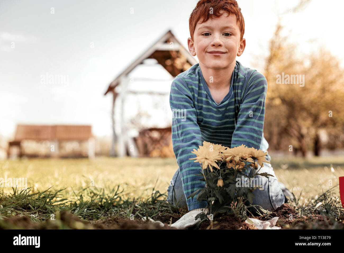 Cut little boy smiling while finishing his work Stock Photo - Alamy