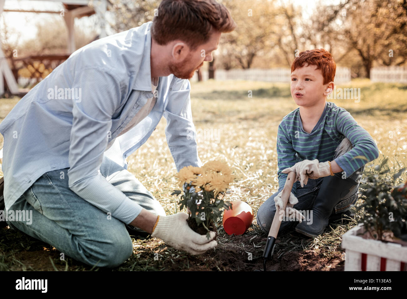 Serious teacher showing how planting yellow flowers in school backyard ...
