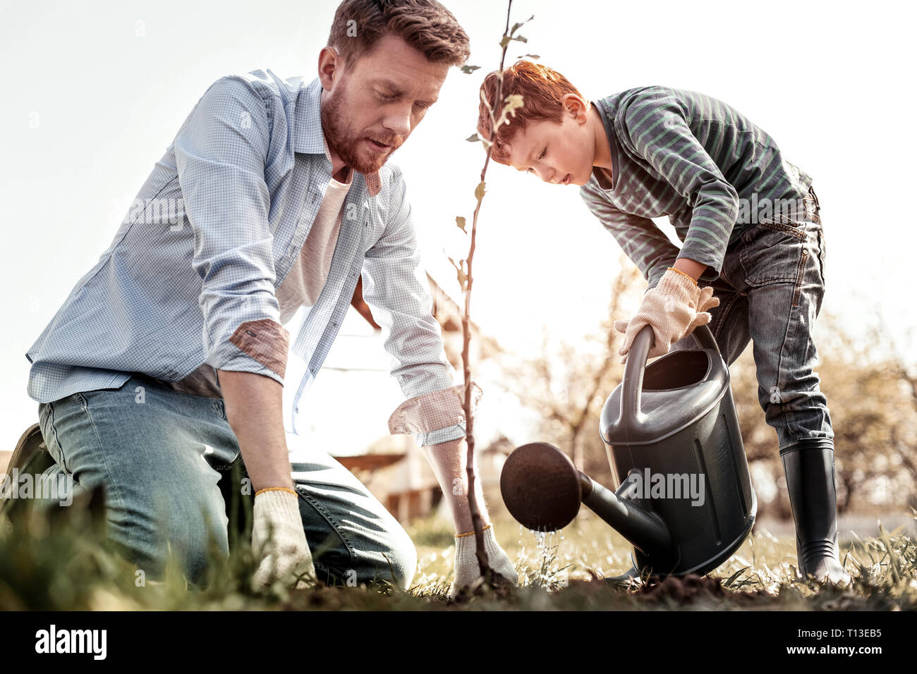 Severe small man watering tree from watering can Stock Photo - Alamy