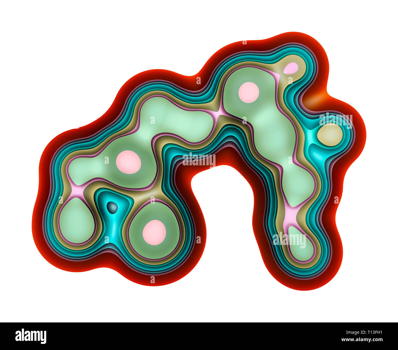 Multicellular organism hi-res stock photography and images - Alamy