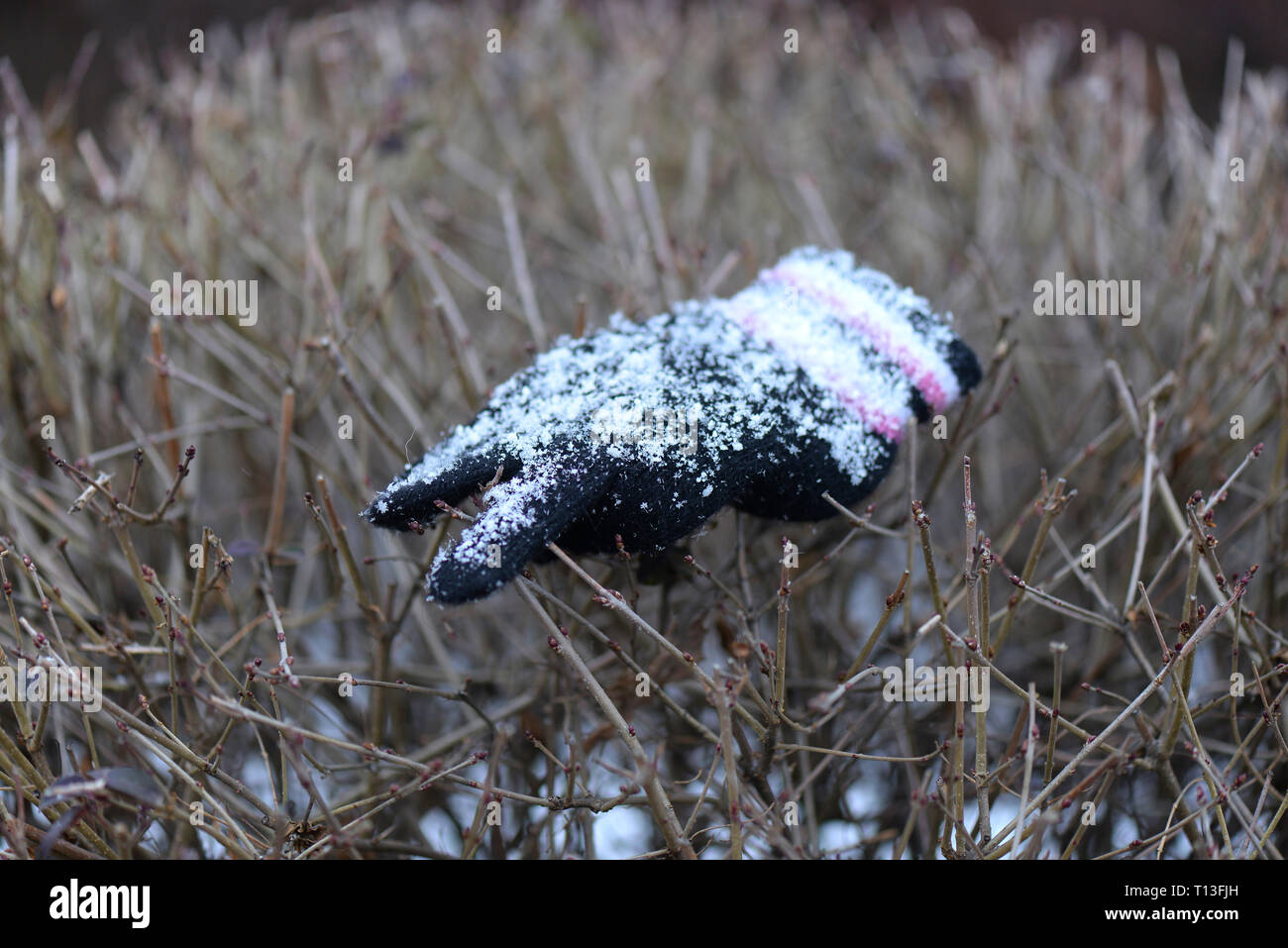 Dropped glove hi-res stock photography and images - Alamy