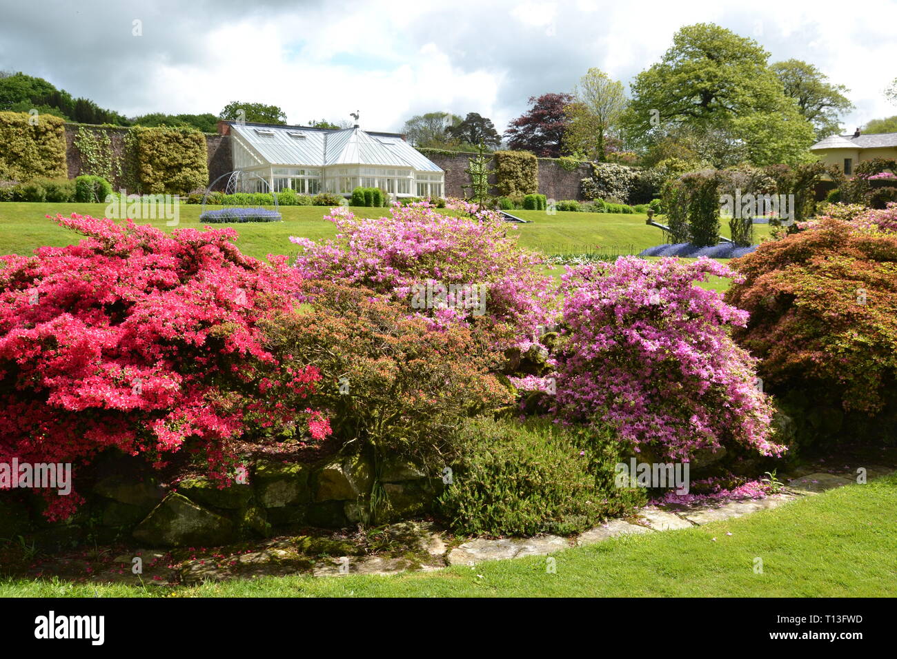 Victorian Gardens in Devon, UK Stock Photo - Alamy