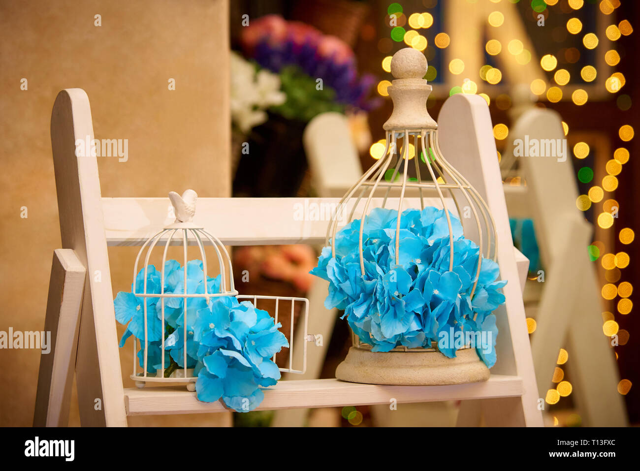 Cells present hi-res stock photography and images - Alamy