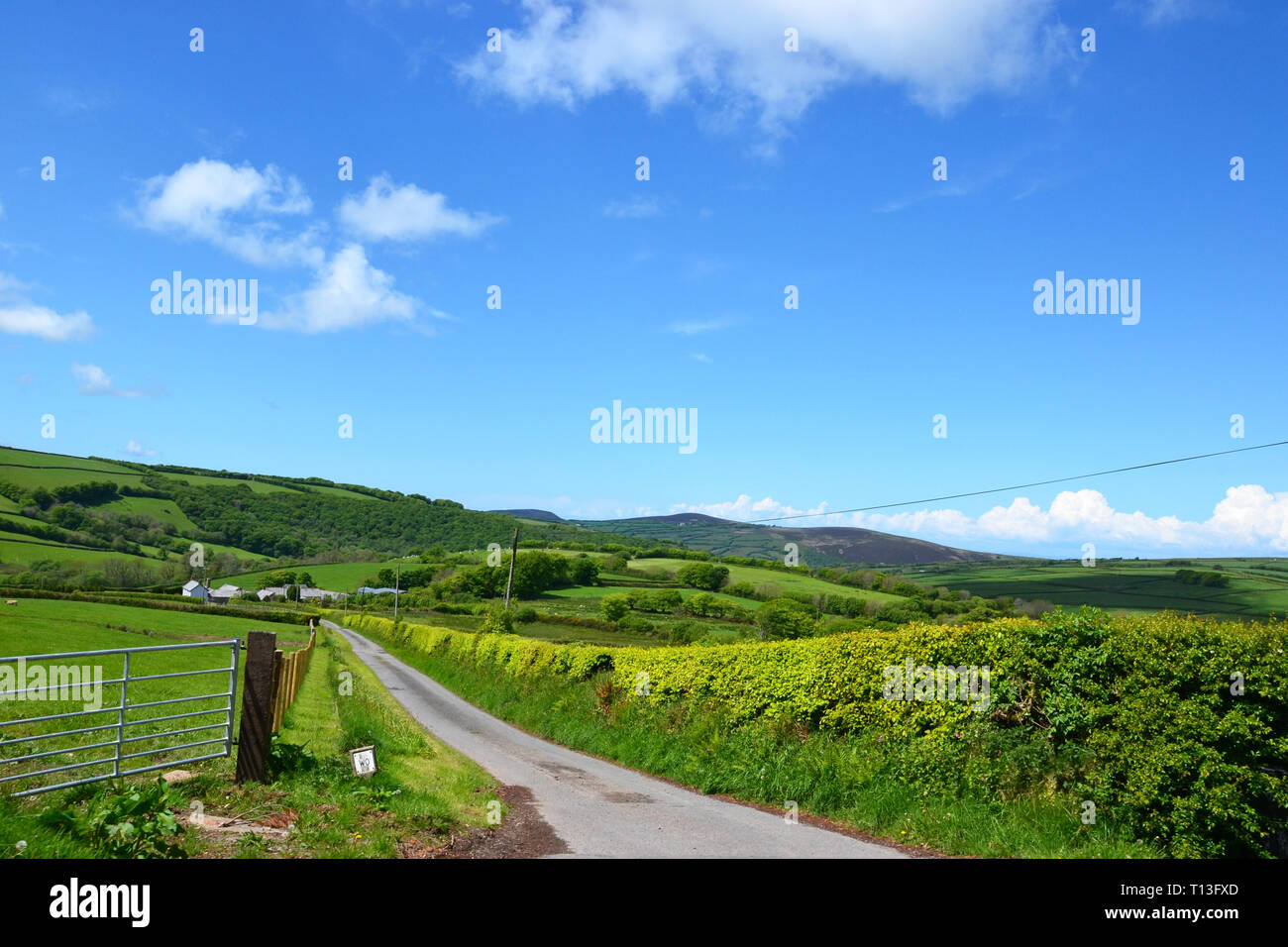 The Devon landscape near Arlington, Devon, UK Stock Photo - Alamy