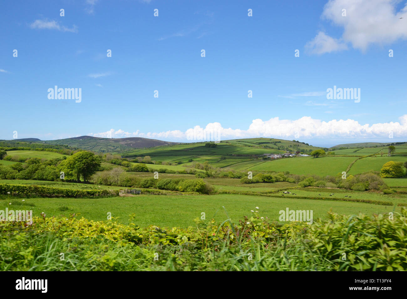 Devon countryside sunshine hi-res stock photography and images - Alamy