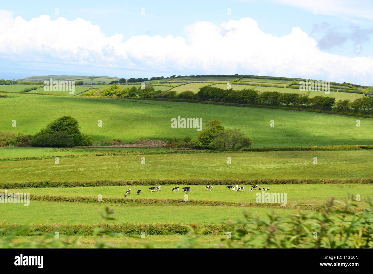 Devon landscape hi-res stock photography and images - Alamy