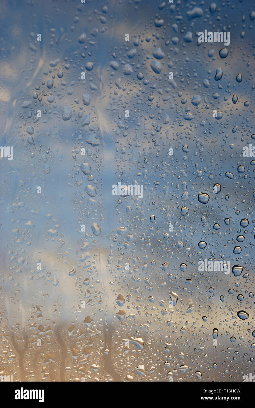 Condensation on the window Stock Photo - Alamy