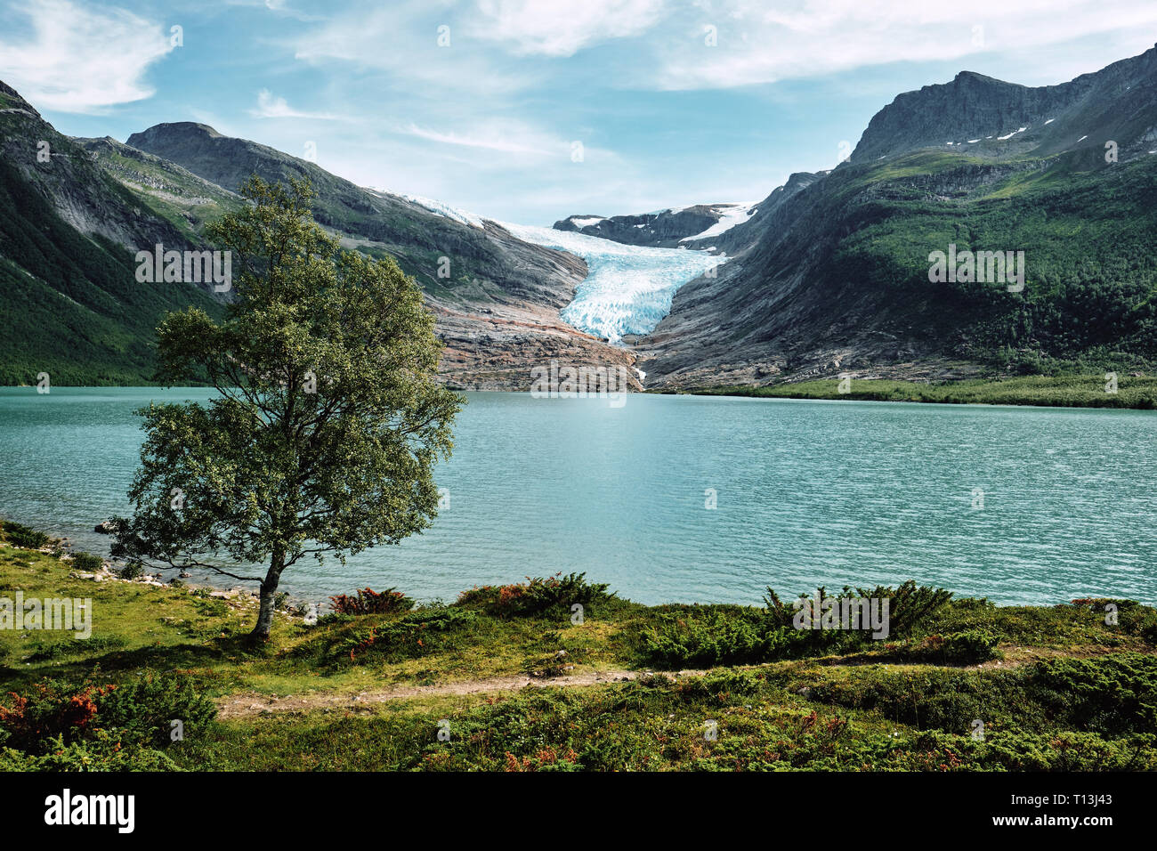 Engabreen outlet glacier and Svartisvatnet lake at Svartisen in the ...