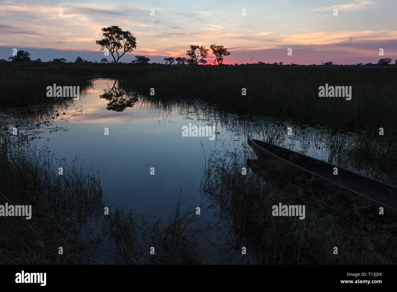 Pretty pink sunset falls on river delta in Okavango River in Botoswana ...