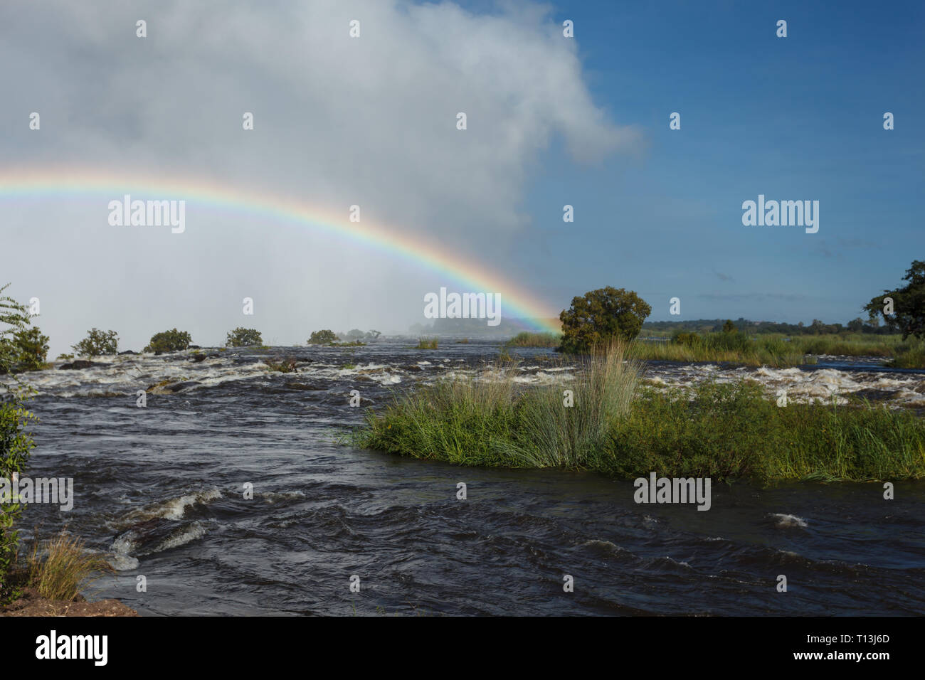 Acacia tree rainbow hi-res stock photography and images - Alamy
