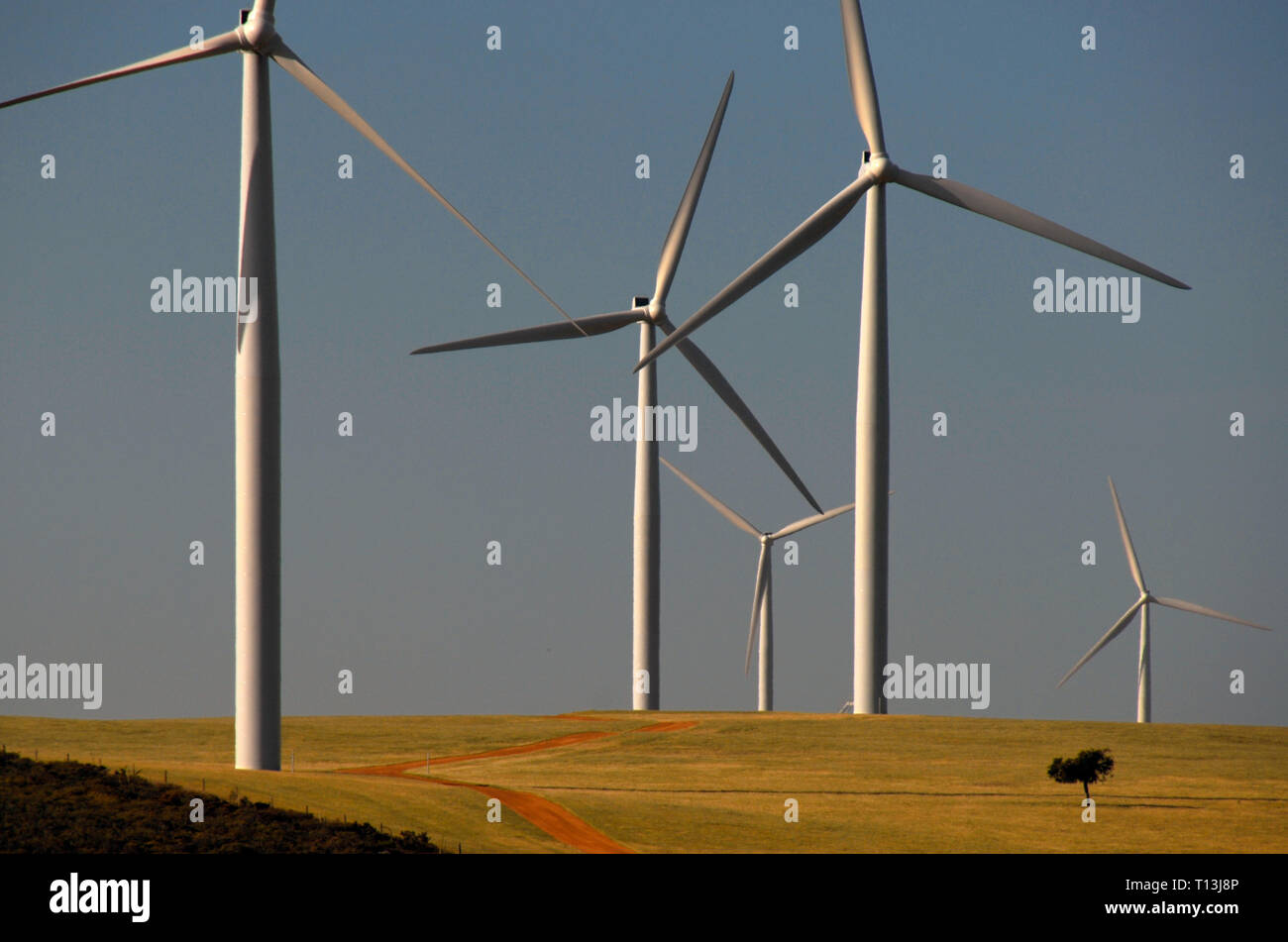 Emu Downs Wind Farm, near Lancelin in Western Australia. There are 48 ...