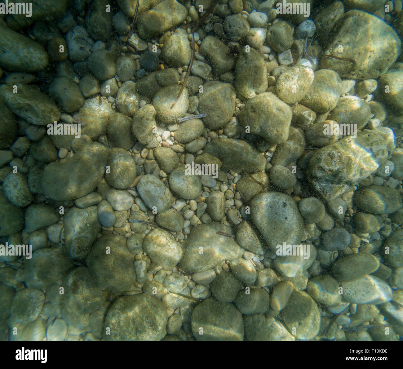 Ocean rock underwater floor hi-res stock photography and images - Alamy