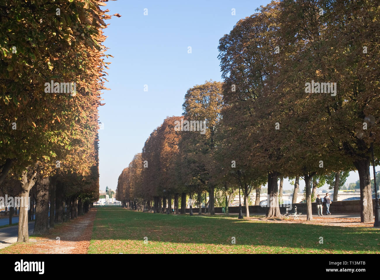 Paris avenue with trees hi-res stock photography and images - Alamy