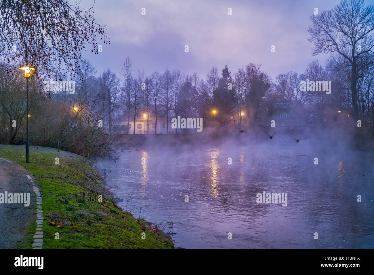 Erft hi-res stock photography and images - Alamy