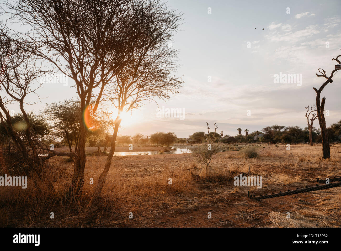 Africa, Namibia, Erindi Private Game Reserve Stock Photo - Alamy