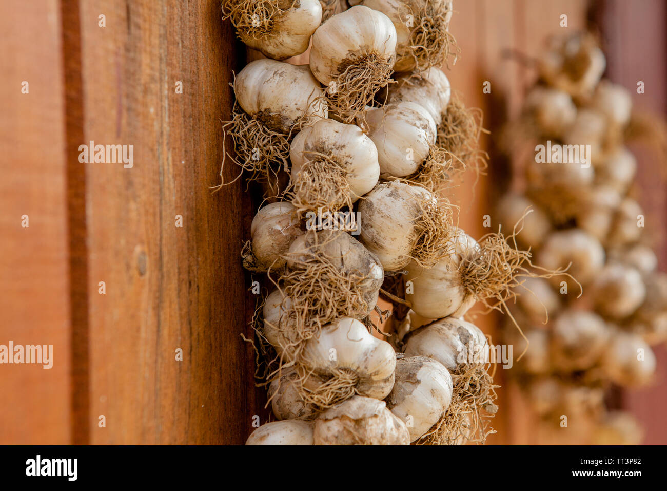 Plaited garlic bulb hi-res stock photography and images - Alamy