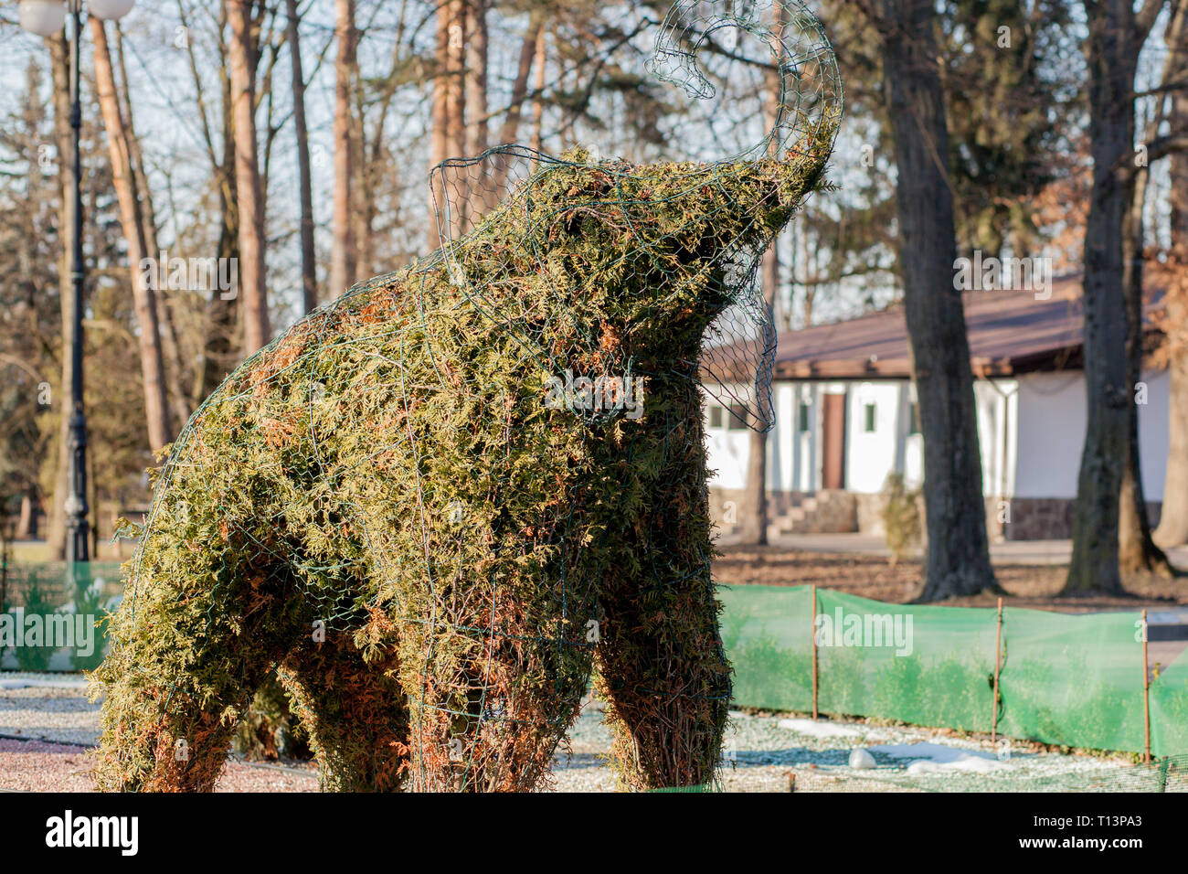 Green elephant of green plants, bushes trimmed into elephant shape ...