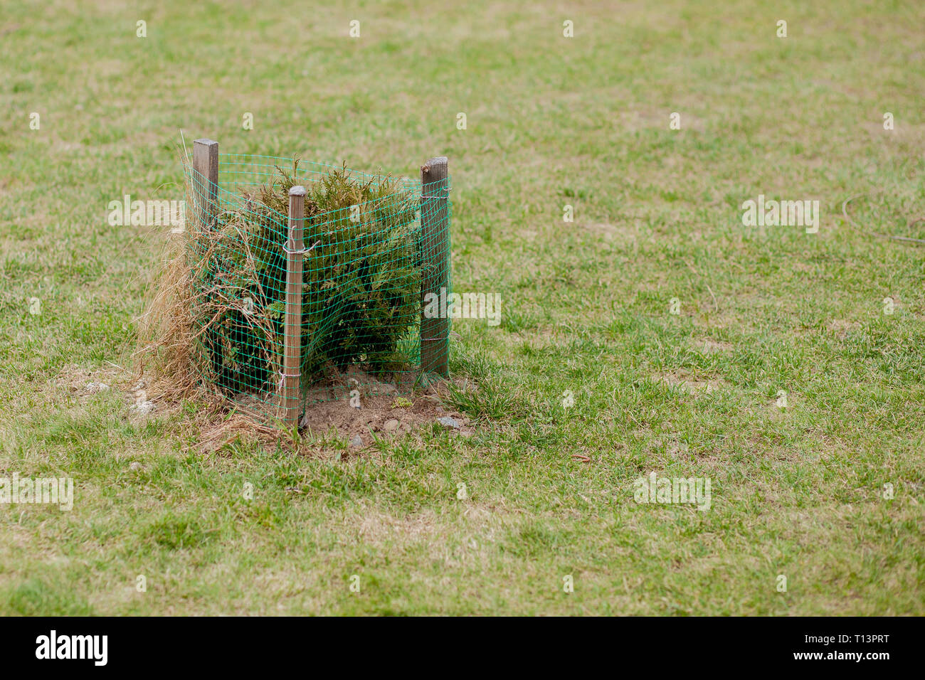 Panoramic view field seedlings hi-res stock photography and images - Alamy