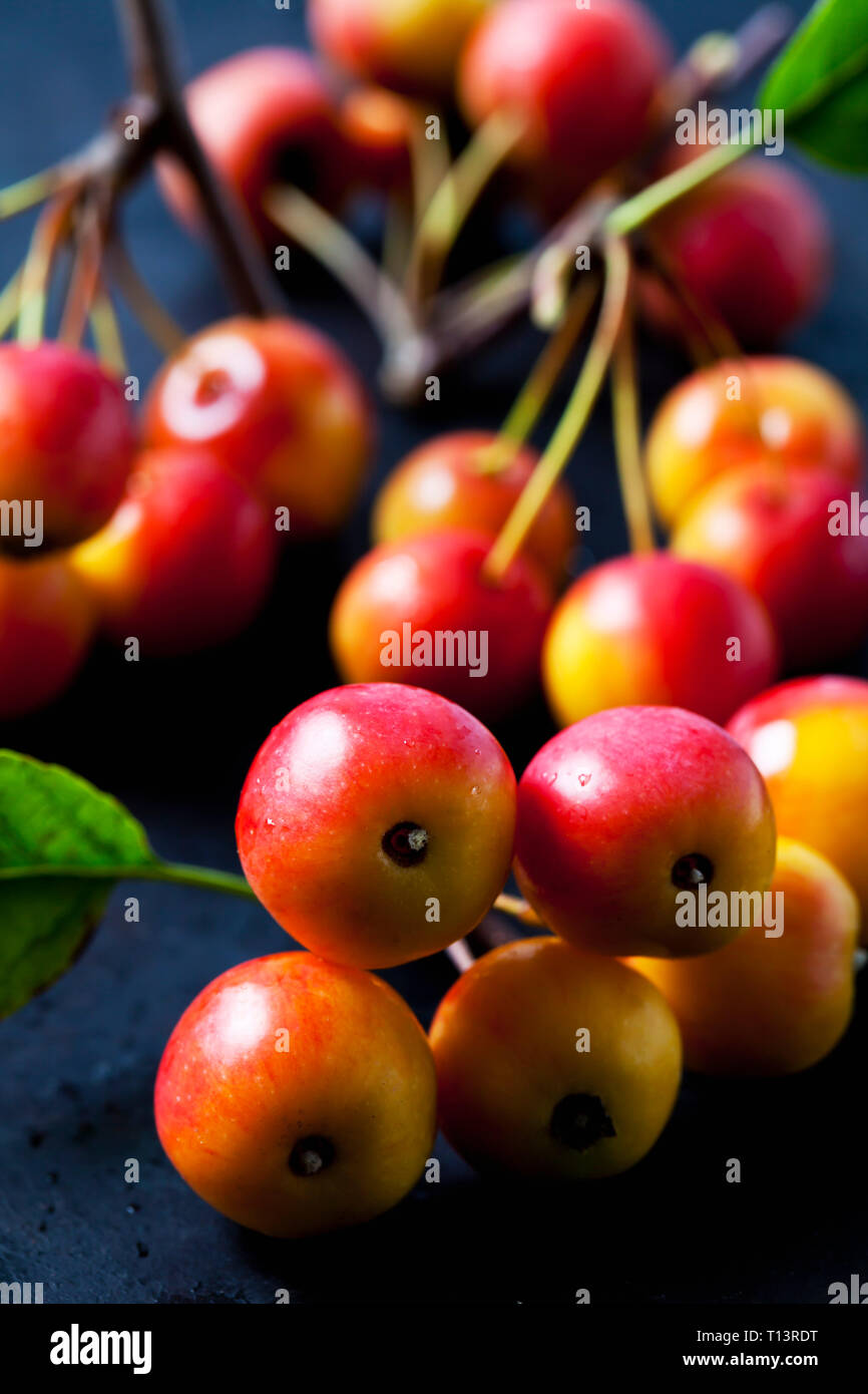 Crab apples hi-res stock photography and images - Alamy