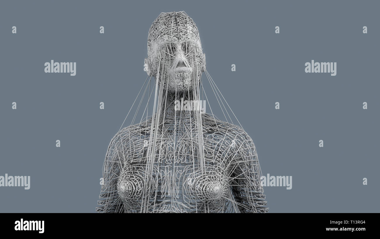 3d render Human figure made with lines Stock Photo - Alamy