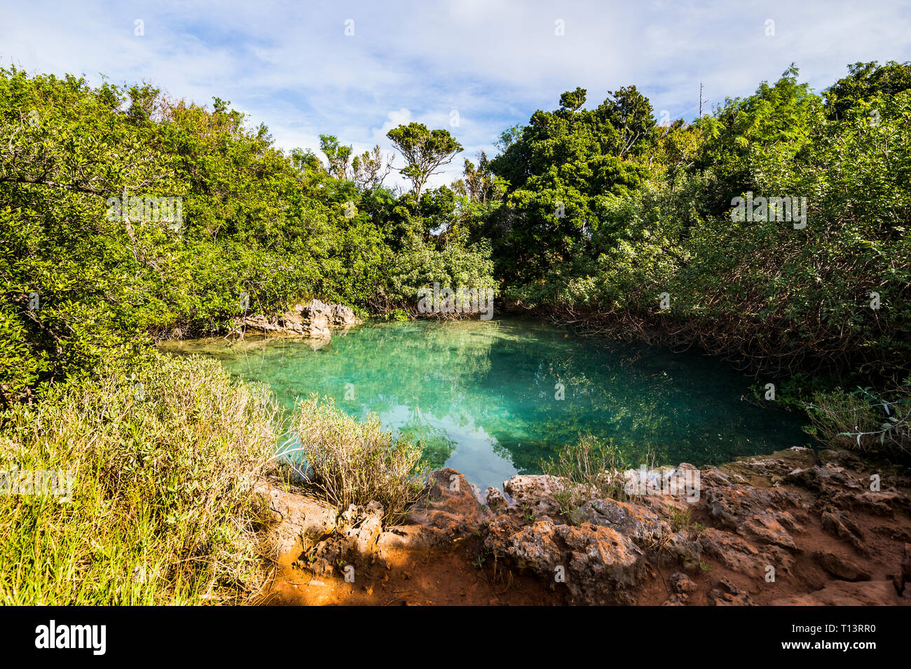 Bermuda, Sinkhole in the Blue Hole Park Stock Photo - Alamy