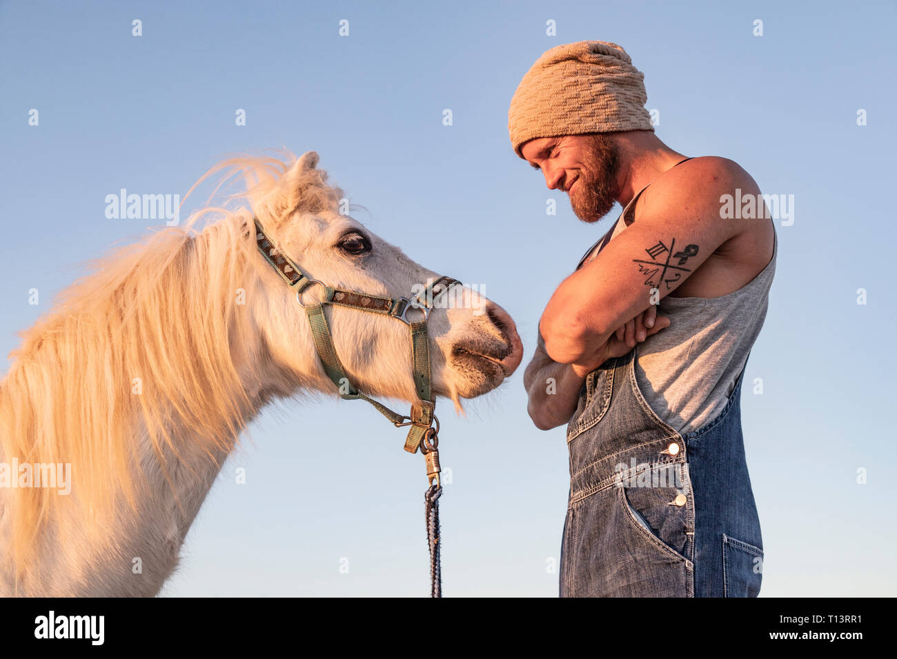 Pony smiling hi-res stock photography and images - Alamy