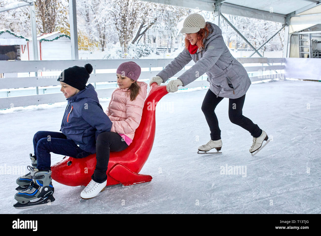 Mother pushing her children on the ice rink, sitting on seal sledge ...
