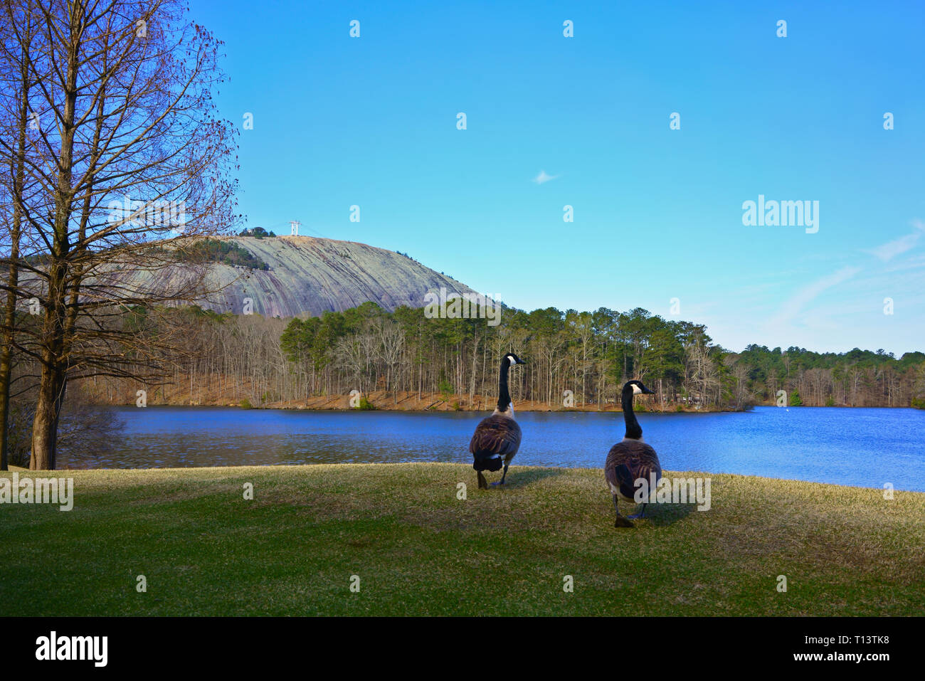 Stone mountain park georgia hi-res stock photography and images - Alamy