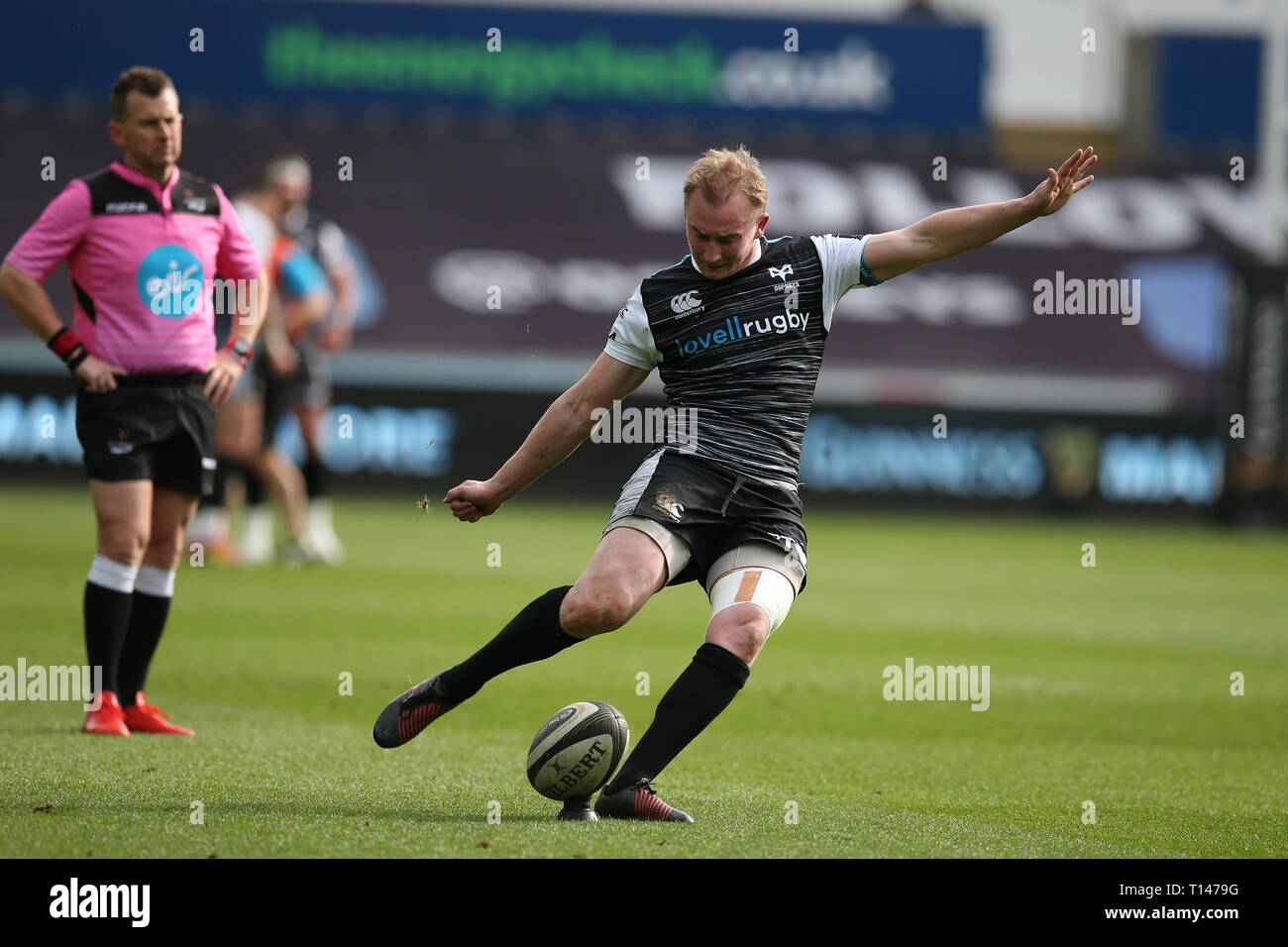 Ospreys luke price hi-res stock photography and images - Alamy