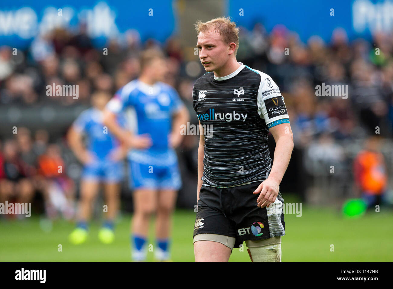Ospreys luke price hi-res stock photography and images - Alamy