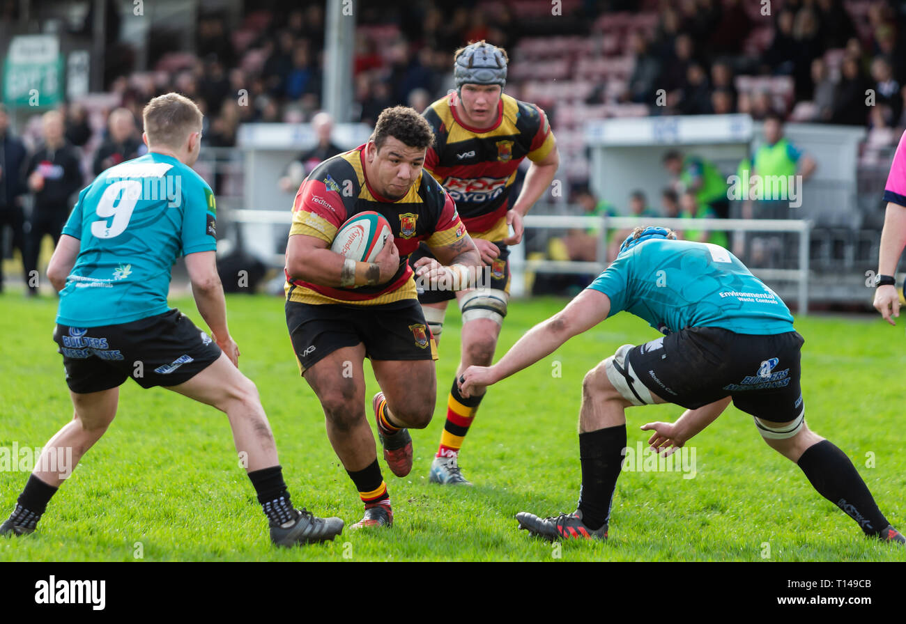 Javan sebastian hi-res stock photography and images - Alamy