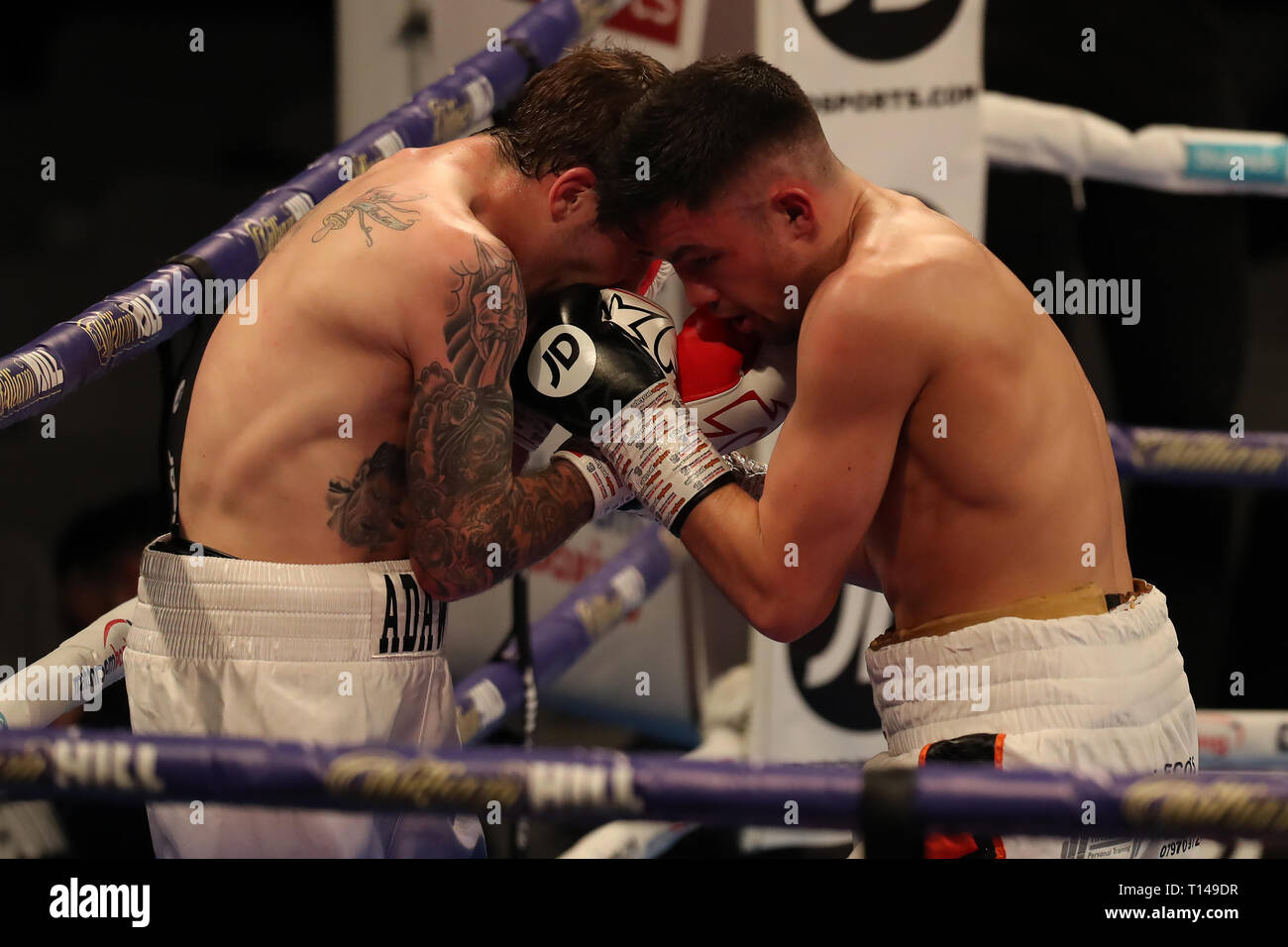 Boxing copper box arena hi-res stock photography and images - Alamy