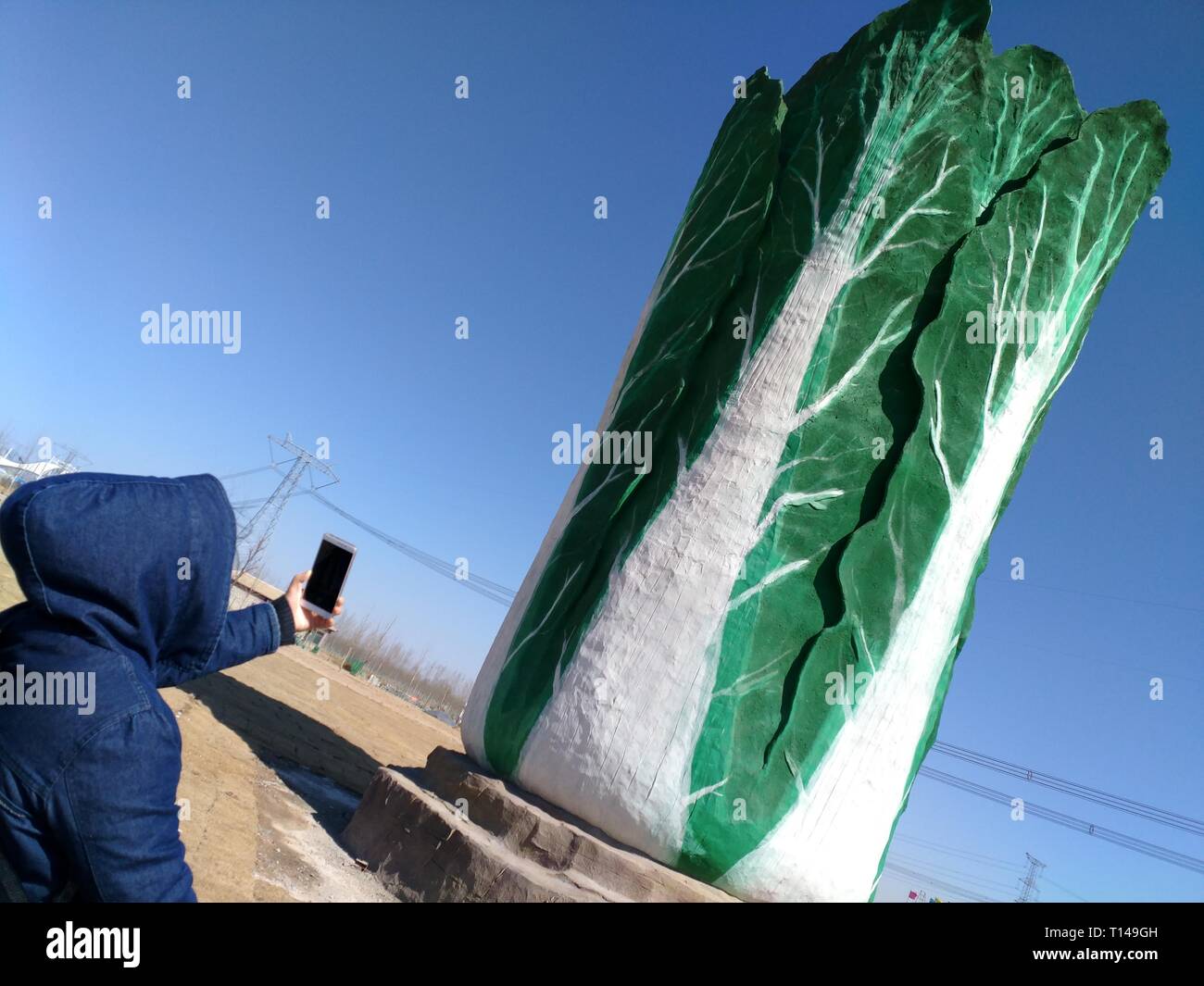 Dongyin, China. 23rd Mar, 2019. An 18-meter-tall jade cabbage sculpture ...