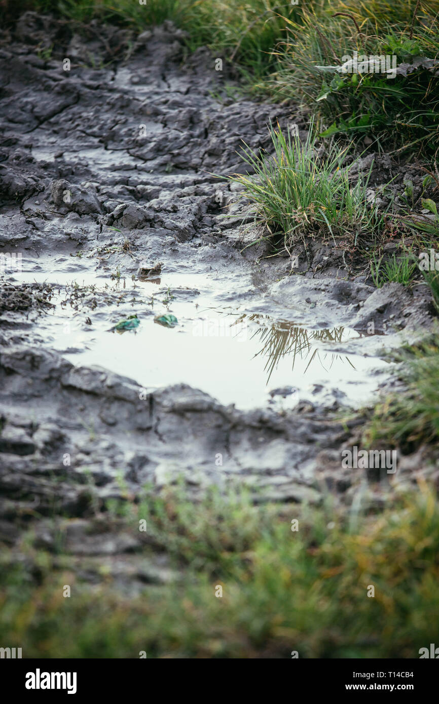 Puddle of mud on field, water Stock Photo - Alamy