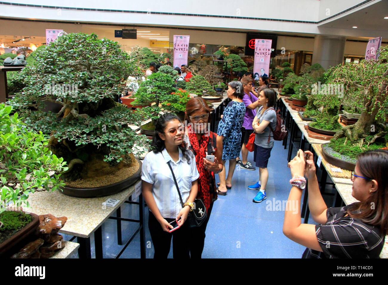 Quezon, Philippines. 23rd Mar, 2019. Mall goer's amazed on bonsai tree ...