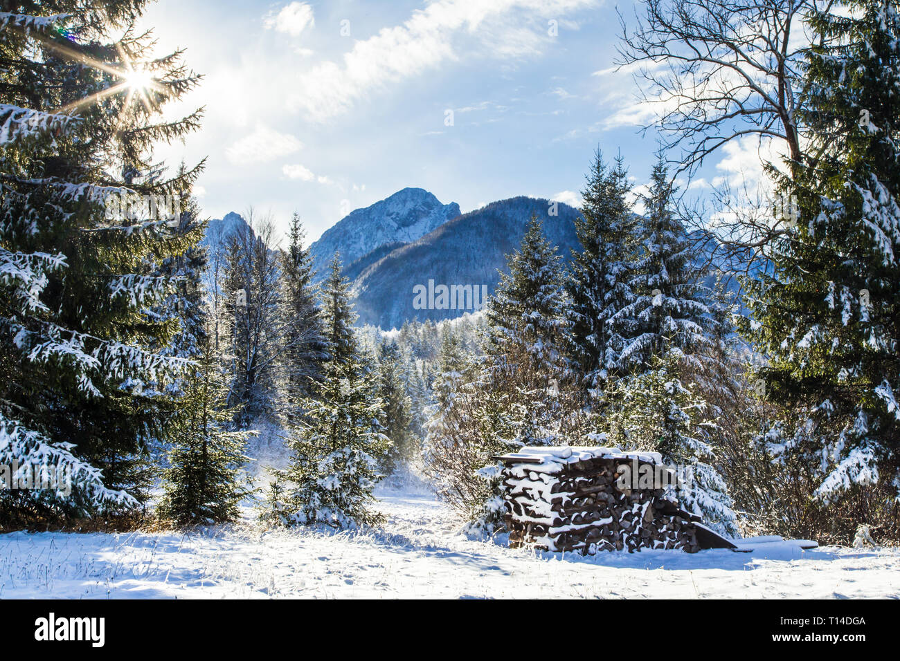 First snow of the winter in the italian alps Stock Photo - Alamy